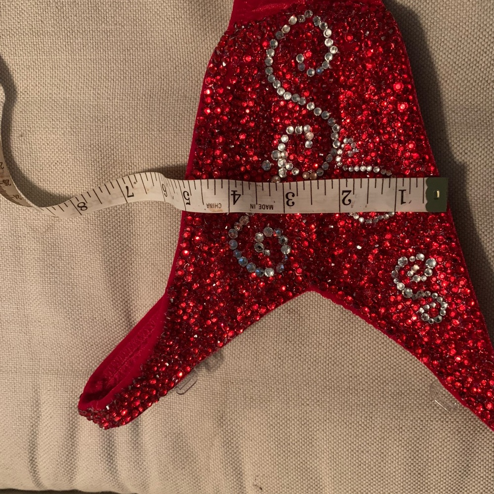 Dazzling Red Bikini/ Figure Competition Suit - Gem